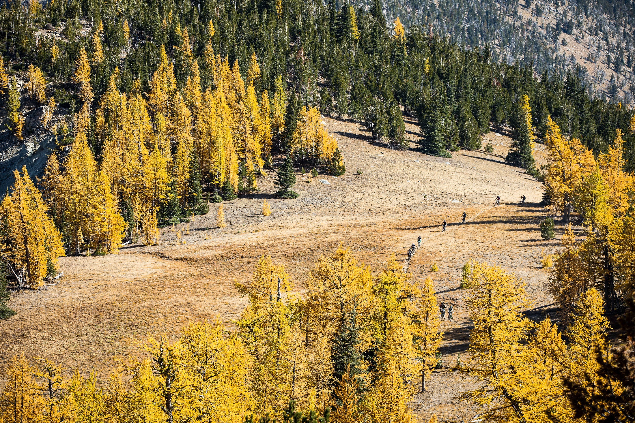 SIGHT LINES PT. 2: Through the Lens at Trans-Cascadia – PEARL iZUMi