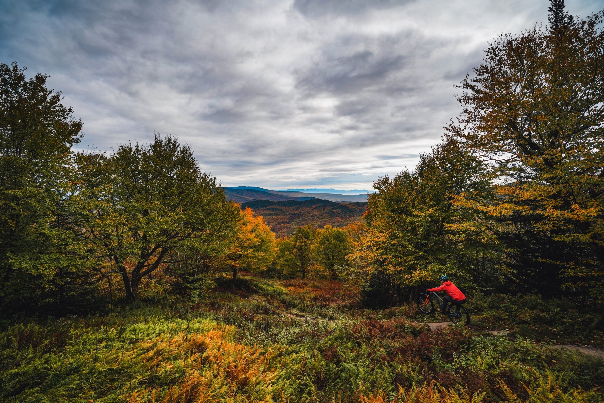 More Trail—Landscapes: Forest Riding With Ella & Alex McAndrew – PEARL ...